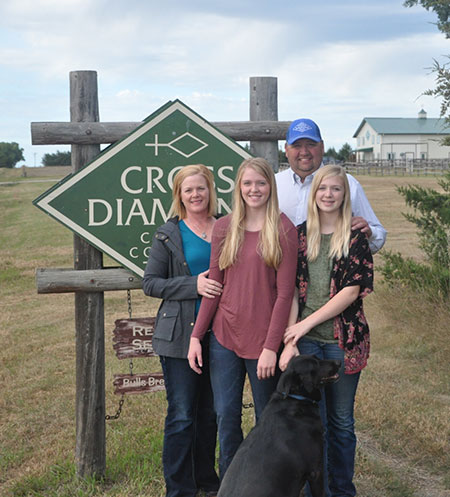 About | Cross Diamond Cattle
